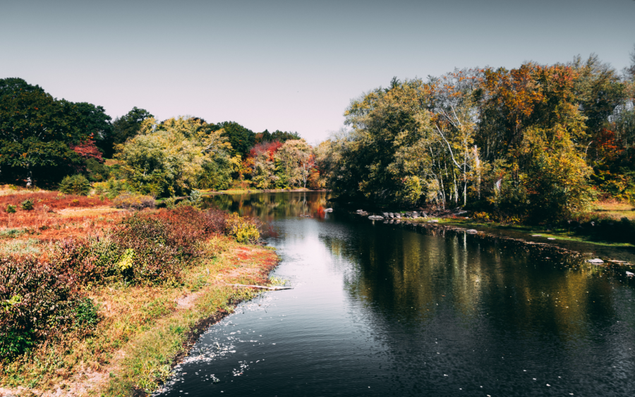 Your Career Is a River | Giombetti Associates